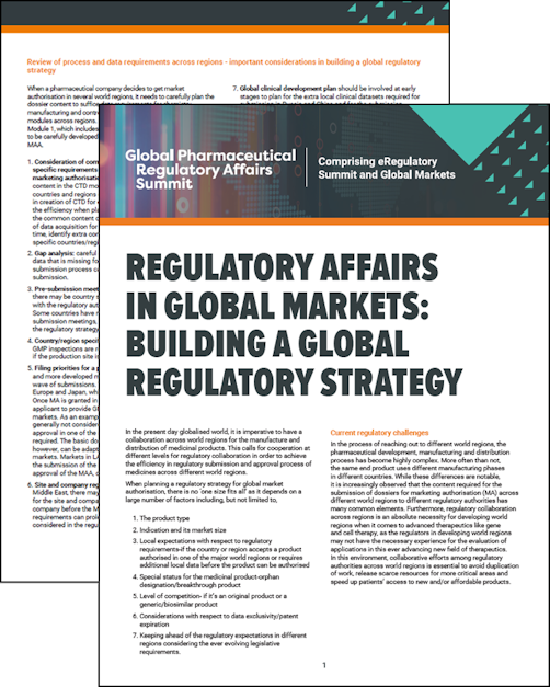 Building a global regulatory strategy