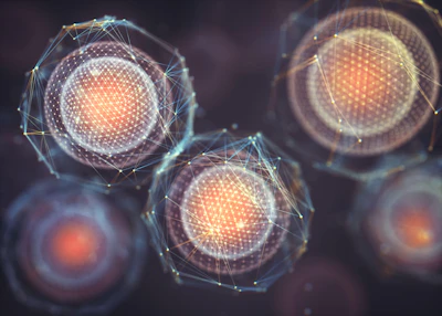 3D Tissue Engineering