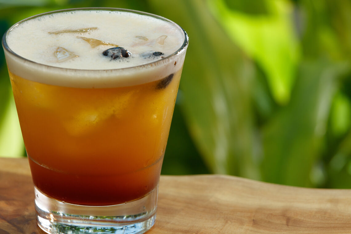 Evening Reception | Biostimulants World Congress